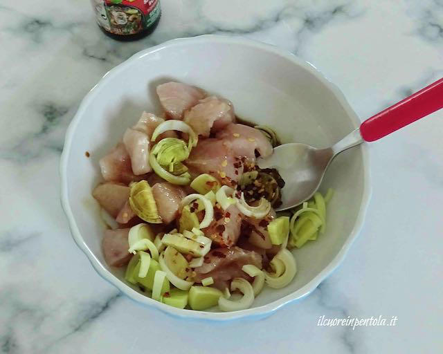 Pollo in salsa di soia