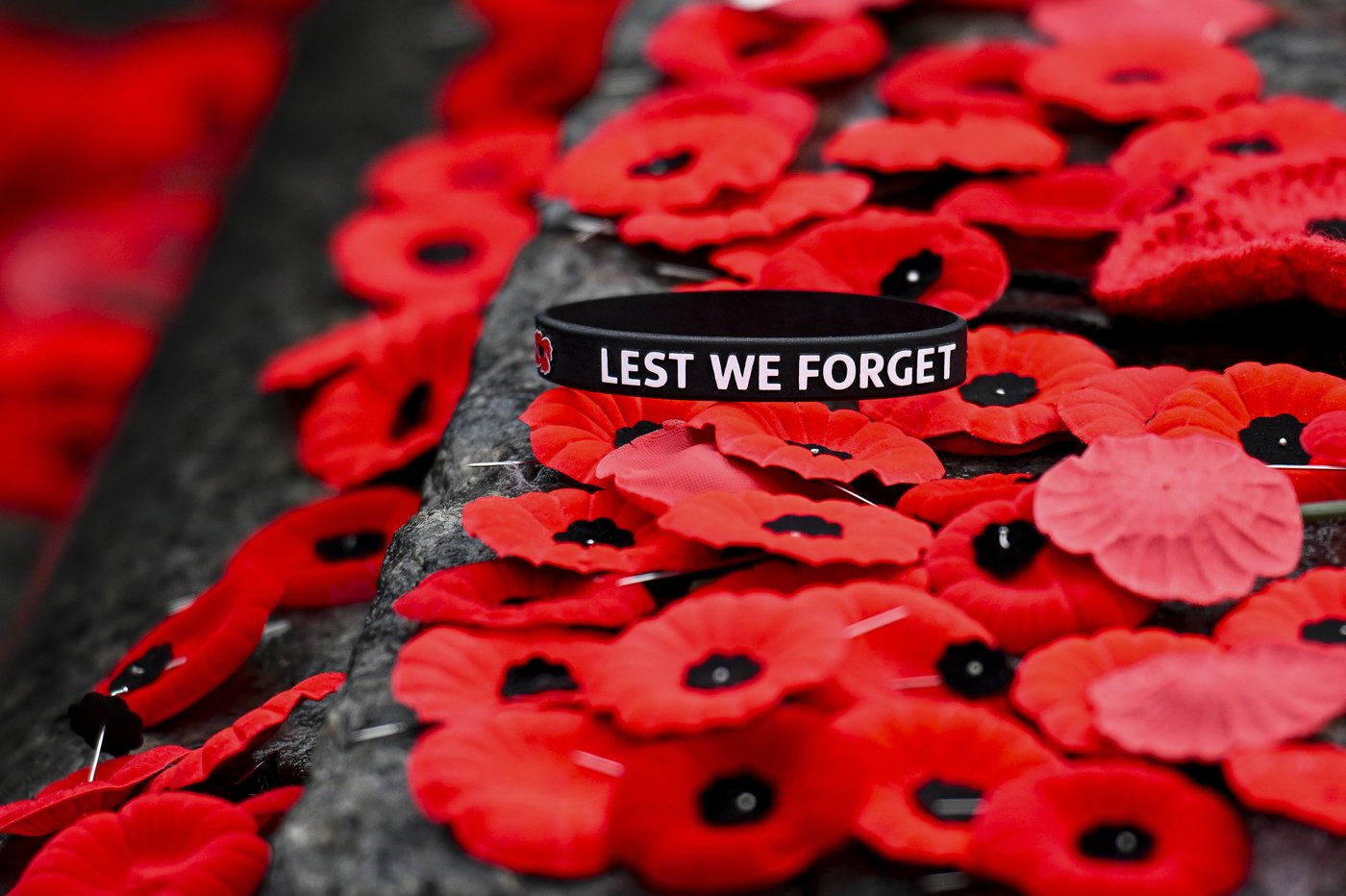 Photo Gallery: Remembrance Day 2025