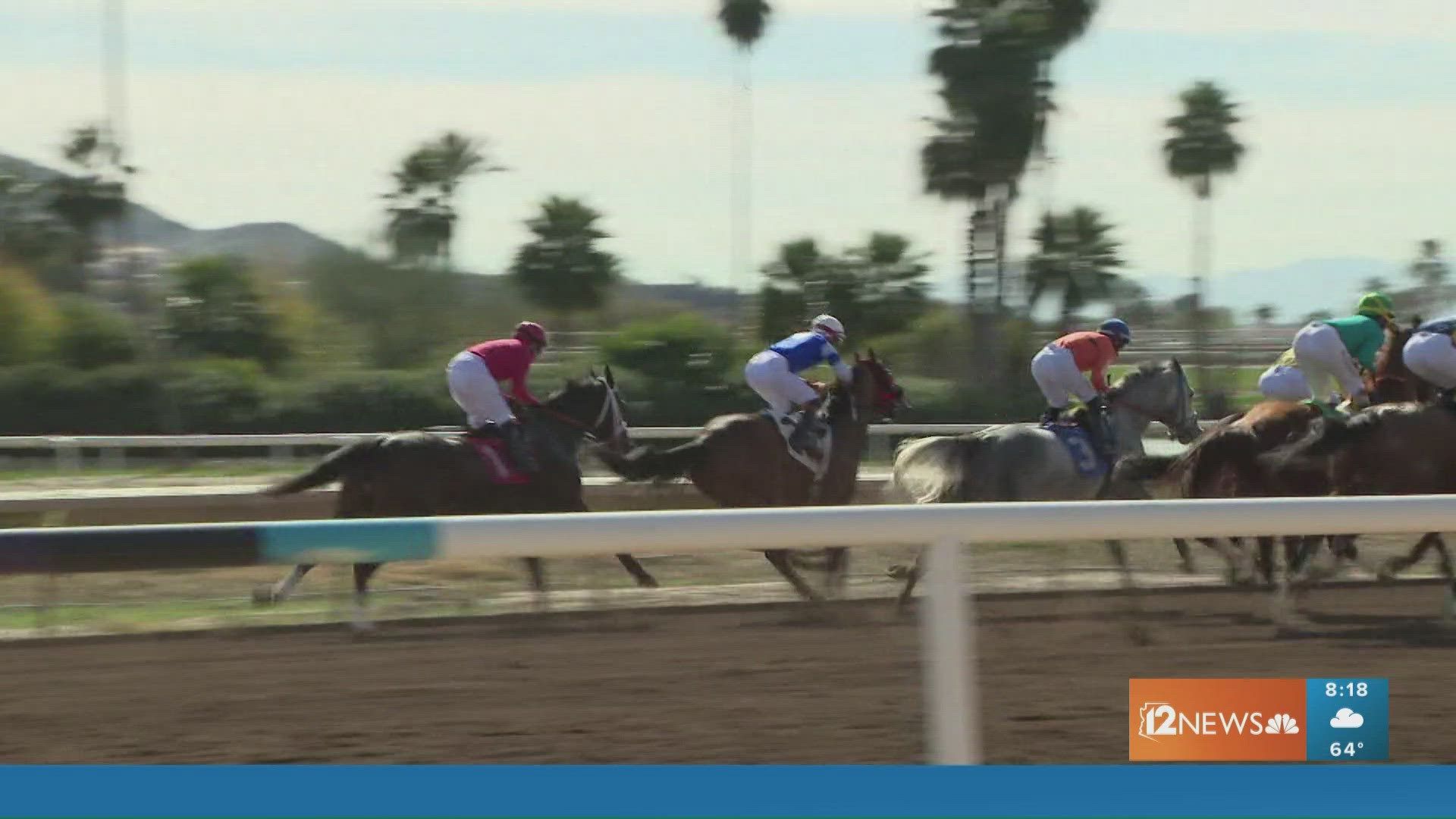 New season of horse racing at Turf Paradise in Phoenix