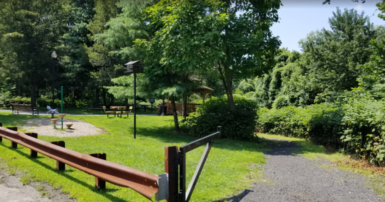 This Beautiful Waterfall Is One of New Jersey's Best Kept Secrets