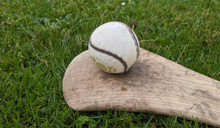 ‘GAA at its finest’ — GAA club goes viral over hilarious substitution