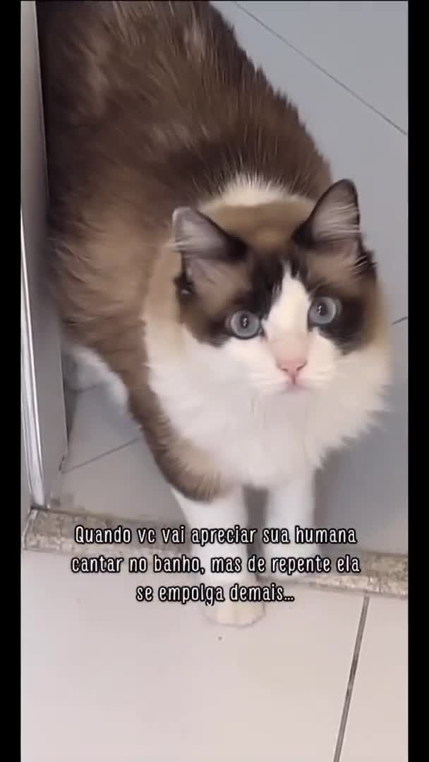 VAZOU EVELIN NO BANHO