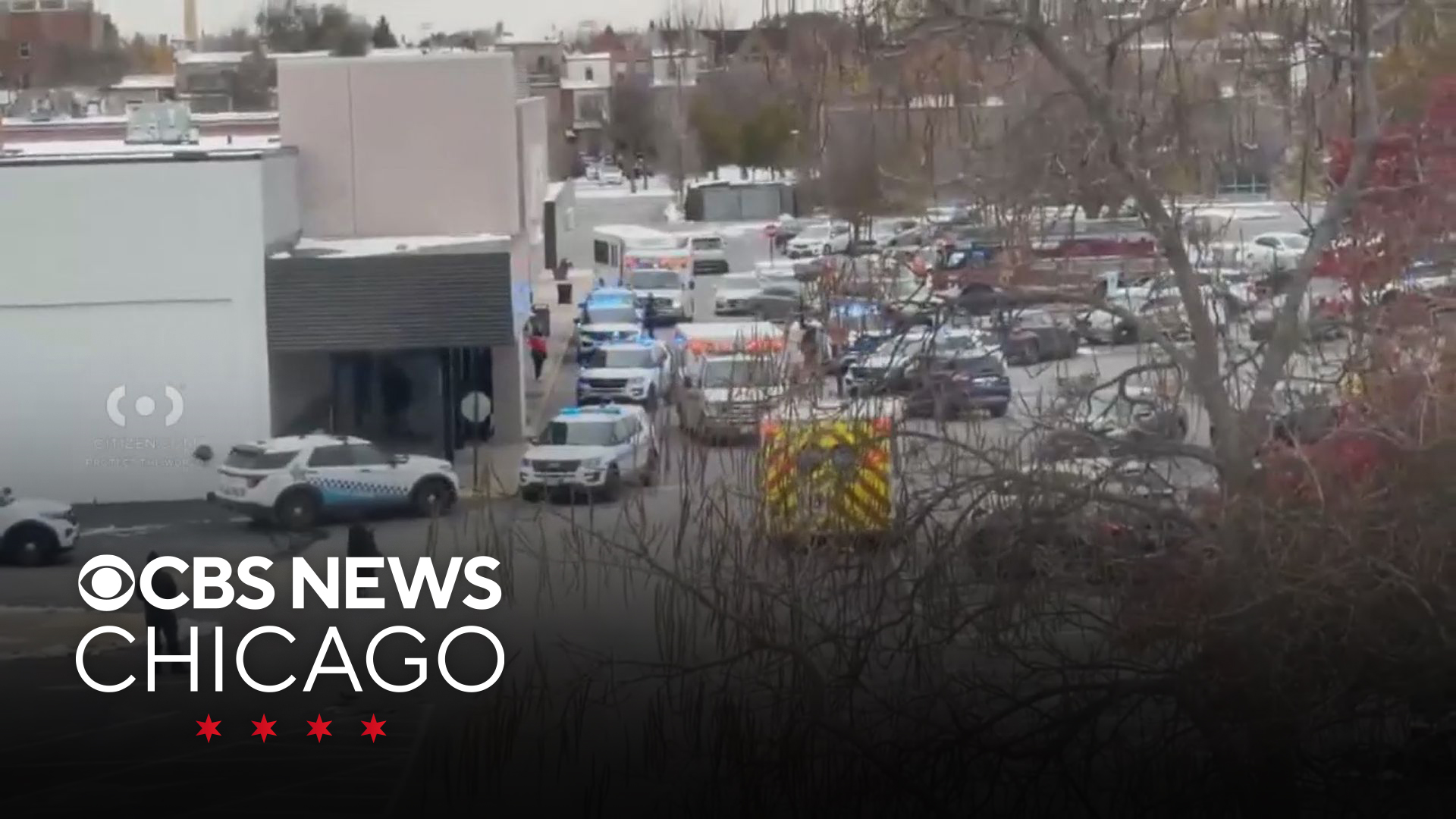Chicago police respond to Bronzeville Jewel-Osco for reports of shooting