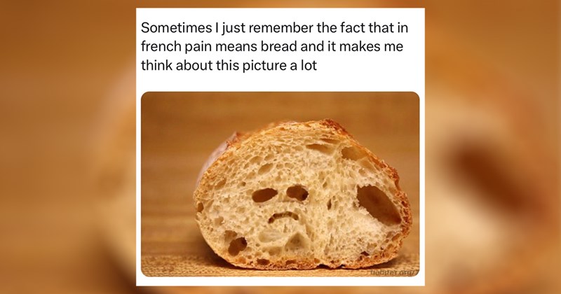 'Eating bread dipped in soup unlocks new emotions': 25+ Bread memes to ...