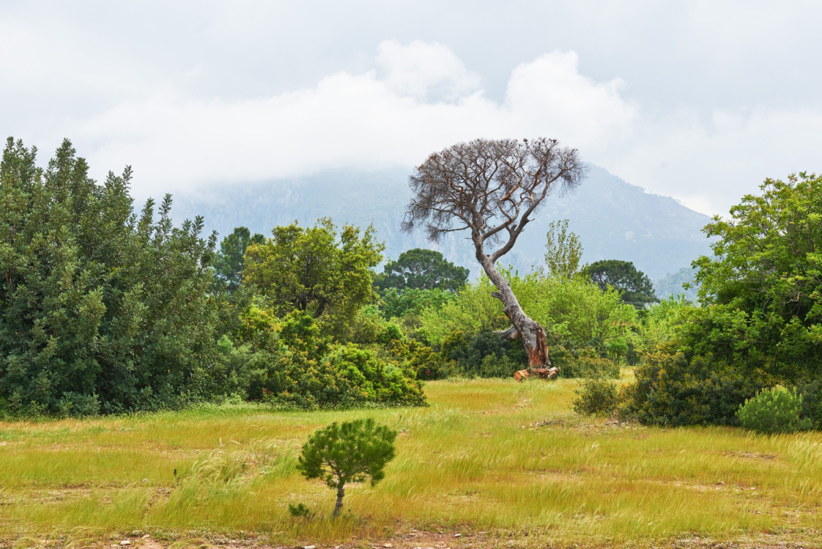 Quand partir à Madagascar ? Climat, météo et conseils pour profiter à ...