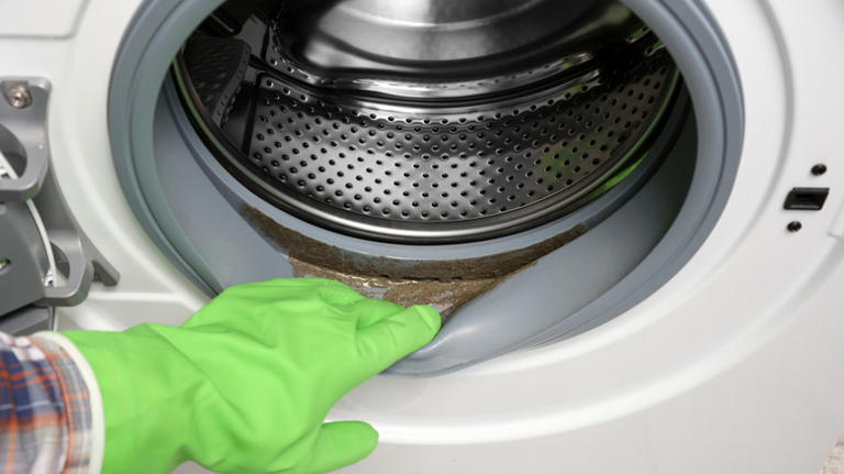 How To Easily Clean Your Washing Machine With Just One Affordable ...