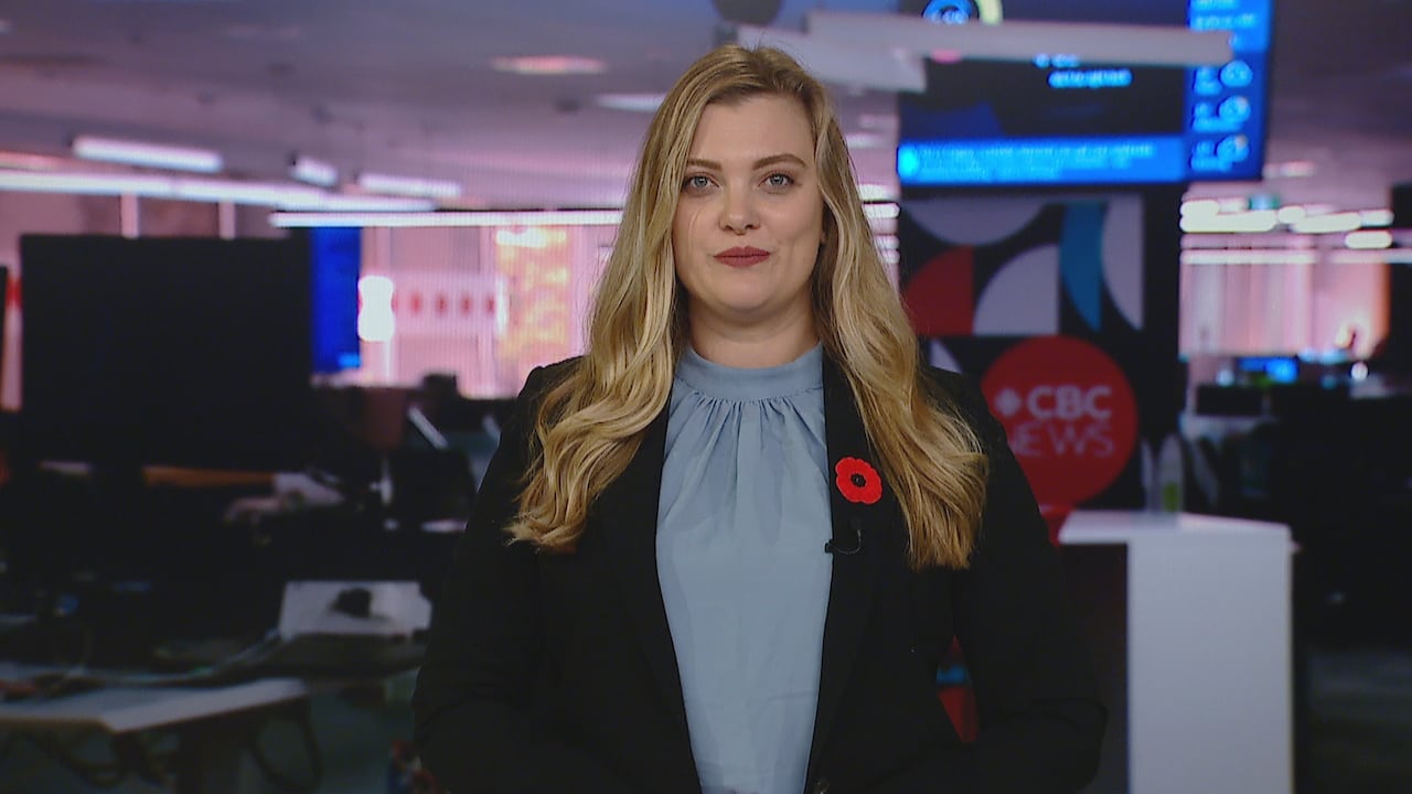CBC Calgary Headlines November 11: Remembrance Day, property tax hikes ...