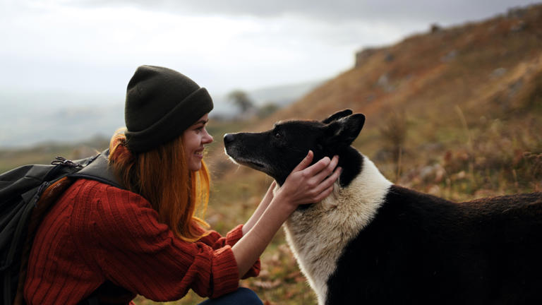 People Who Talk To Dogs Like Humans Exhibit These 7 Traits, According ...