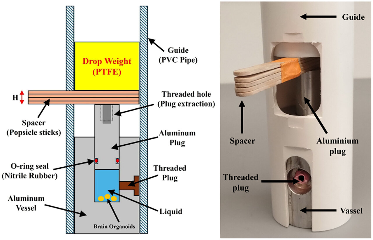 Tabletop blast device brings traumatic brain injury research to the lab ...