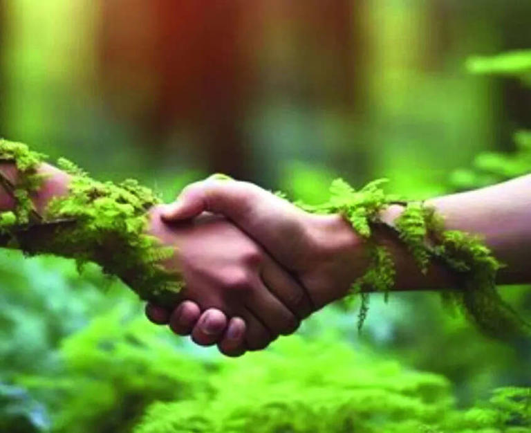 Can India and the EU forge a successful green partnership amidst global ...