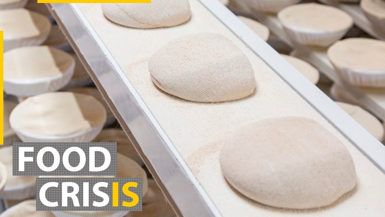 How the Ukraine war sparked a global food crisis: The world’s ...