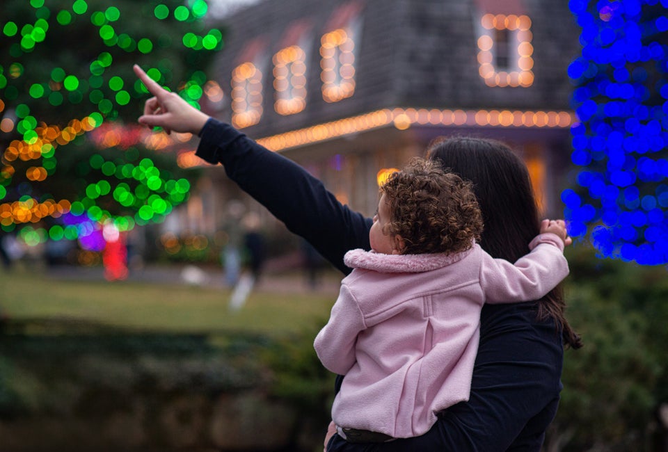 National Dog Show, Holiday Kickoff, Indigenous Heritage Month, and More ...