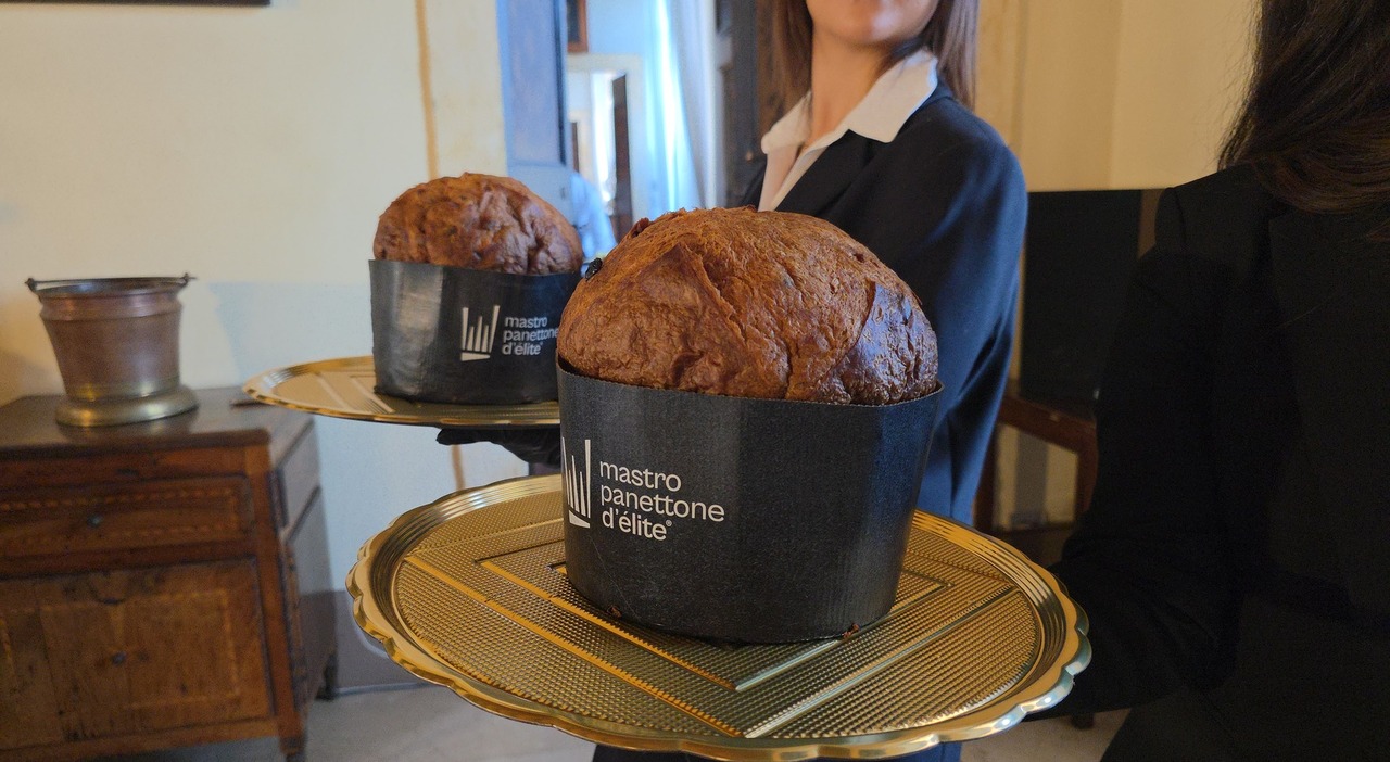 La Puglia trionfa al “Mastro Panettone d’Élite 2025”: ecco chi ha vinto