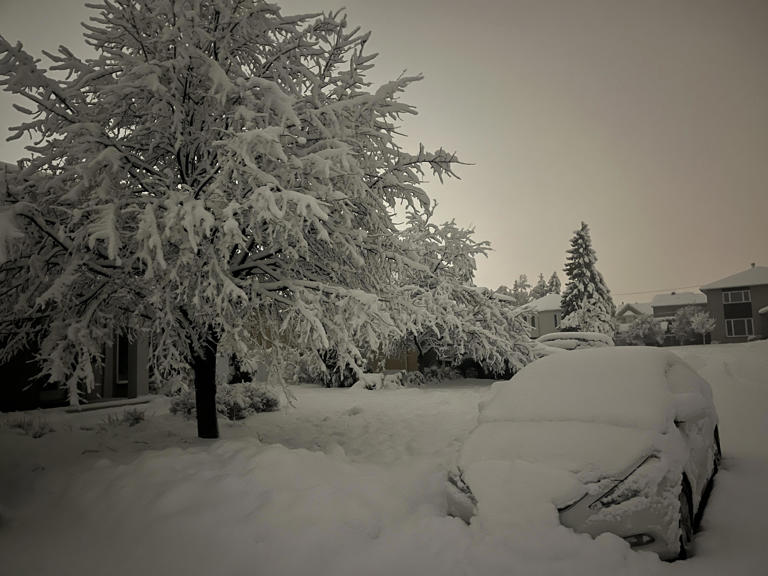 Le Centre de services scolaire du Pays-des-Bleuets fait son mea-culpa