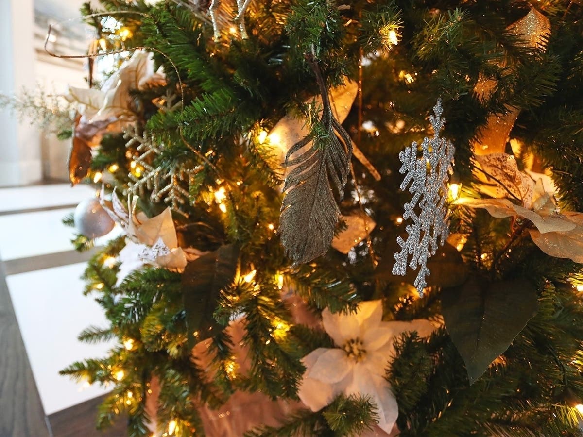 Tickets For Beloved Evergreen Park Holiday Tradition, 'Sounds Of The ...