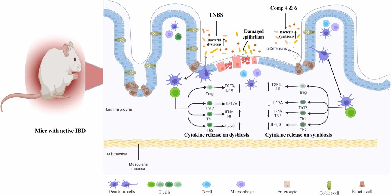 Plants adapting to climate change may help IBD treatment