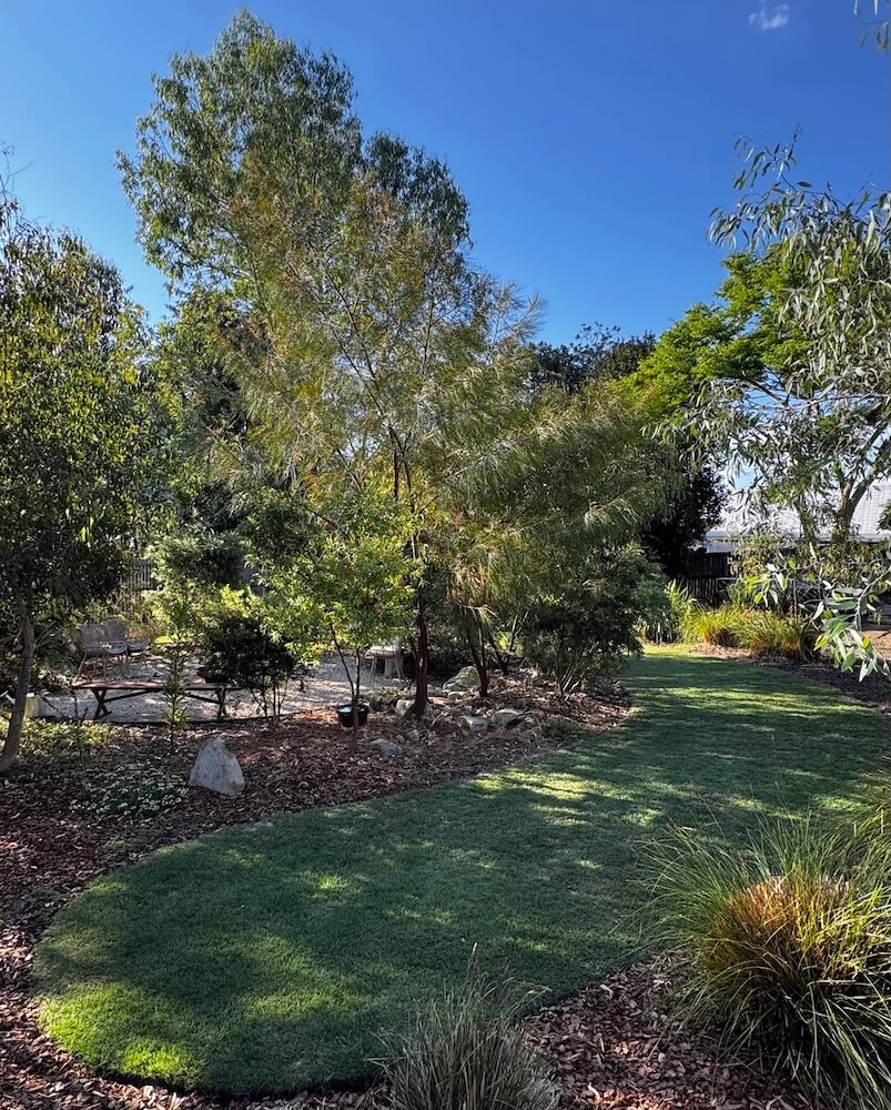 Proud homeowner shares jaw-dropping before-and-after photos of garden ...