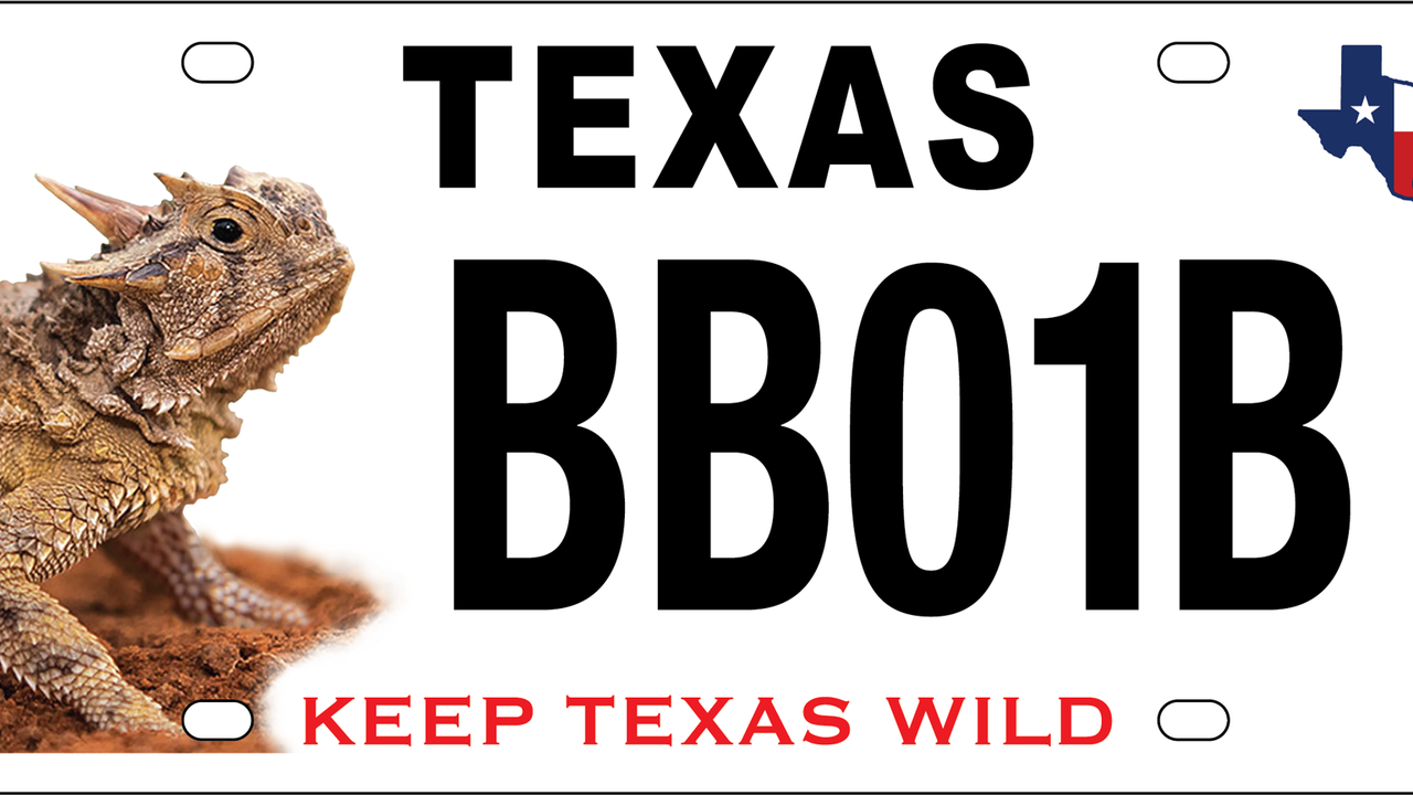 Texas Parks and Wildlife releases redesigned Texas horned lizard ...
