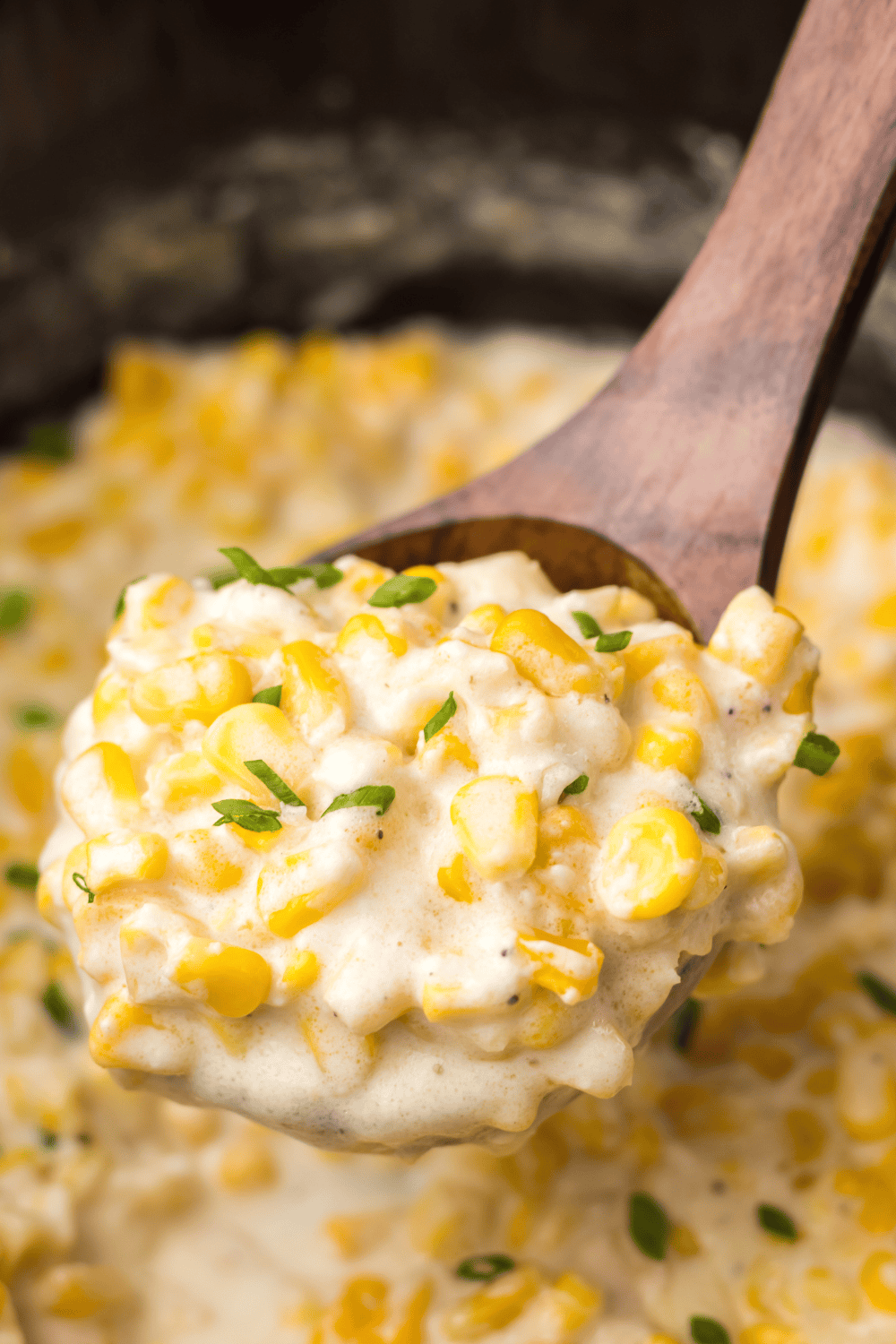 25 must-try dump and go crockpot dinners (lazy dinner ideas)
