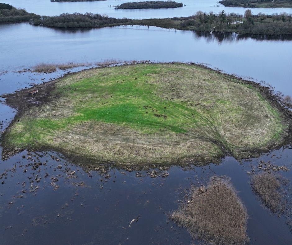 Partnership with farmers and RSPB NI helping waders thrive on Lough Erne
