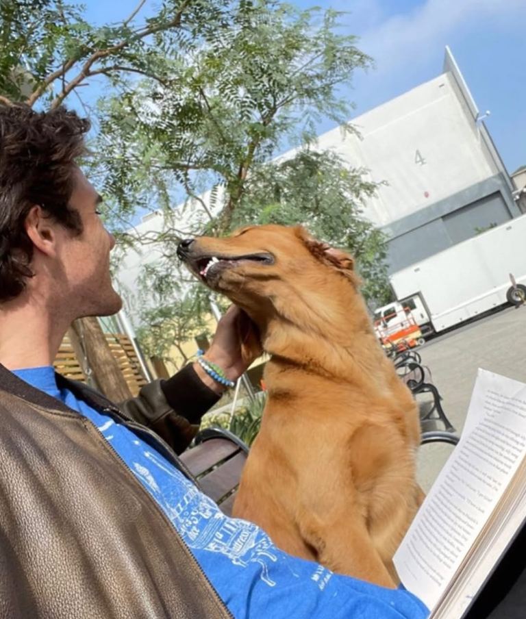 Jacob Elordi says his female dog helped him shape his version of ...