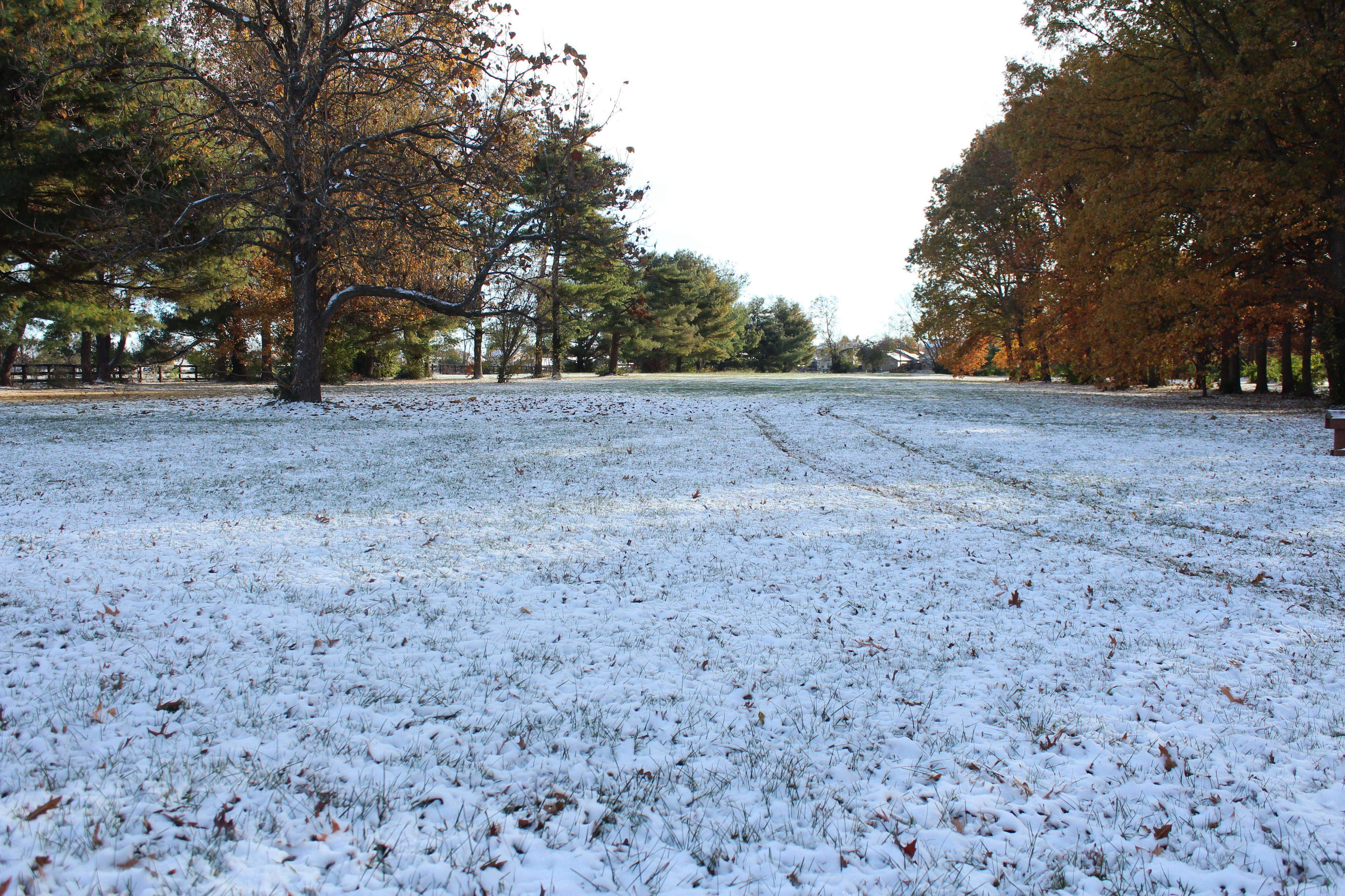Lexington saw earliest snow in 32 year. What's expected for this week?