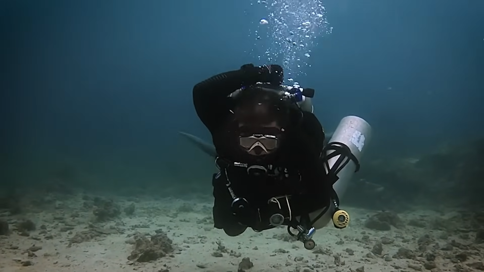 He Dove 300 Feet to Beat the Odds - But His Camera Captured His Final ...
