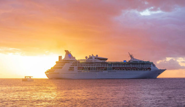 Inside the World’s First Cruise Ship Tunnel and How It’s Changing Sea ...