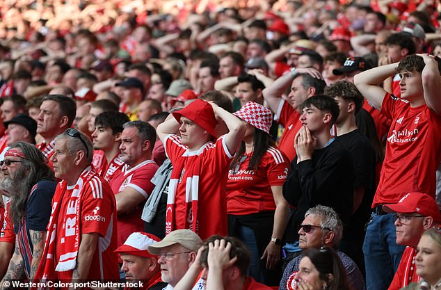 Scientists reveal exactly what happens in football fans' brains when ...