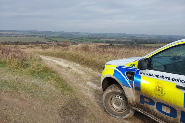 Horse killed and man in his 60s hospitalised with serious injuries ...