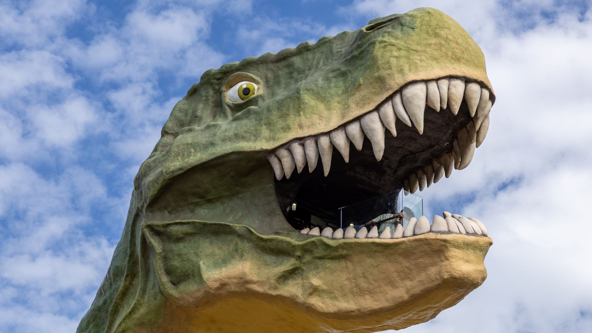 Where To Find The World’s Largest Dinosaur—And Why It’s The Best ...