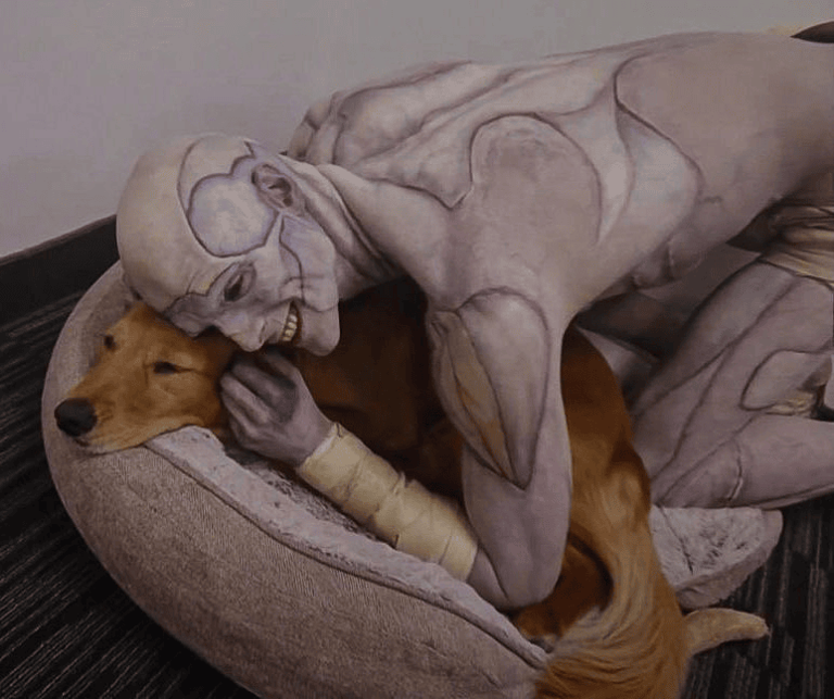 Jacob Elordi says his female dog helped him shape his version of ...