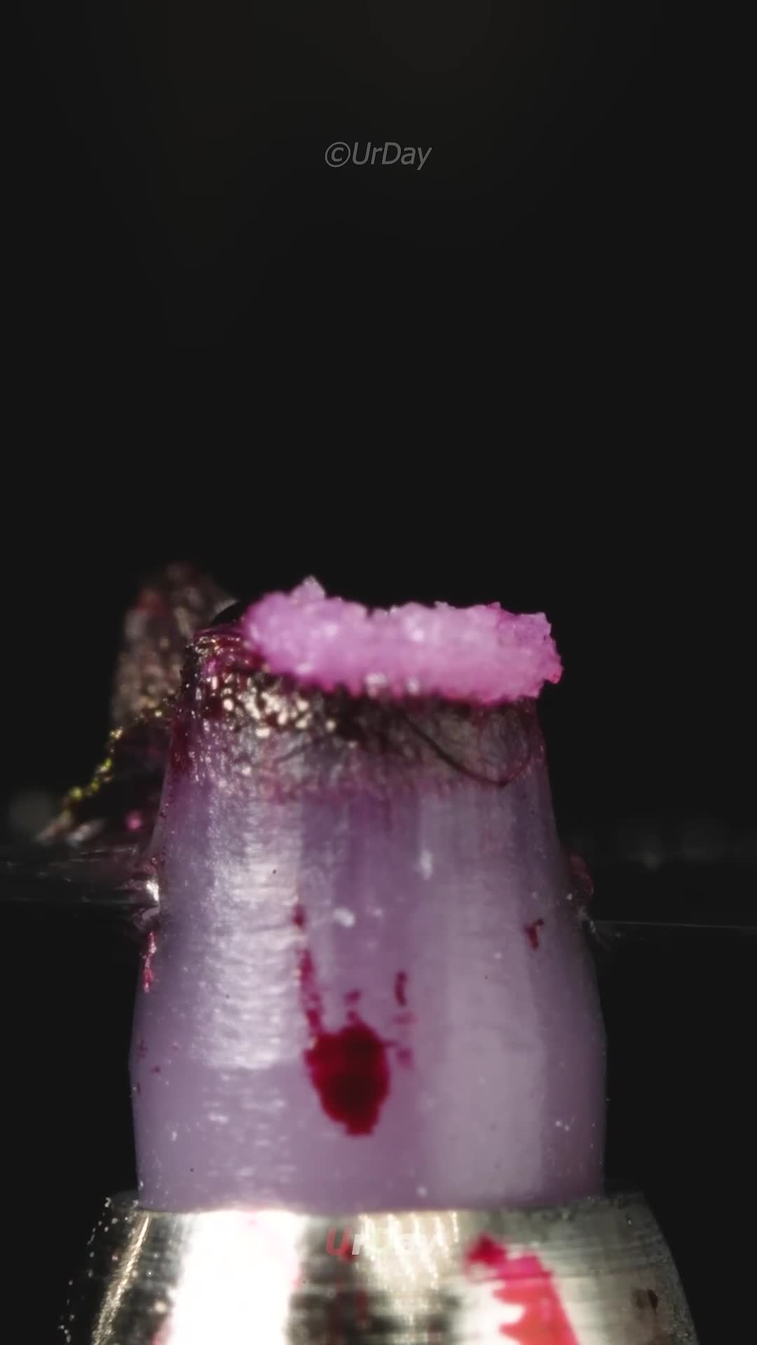 Sign pen cutting close up #macro #urday #experiment #closeup