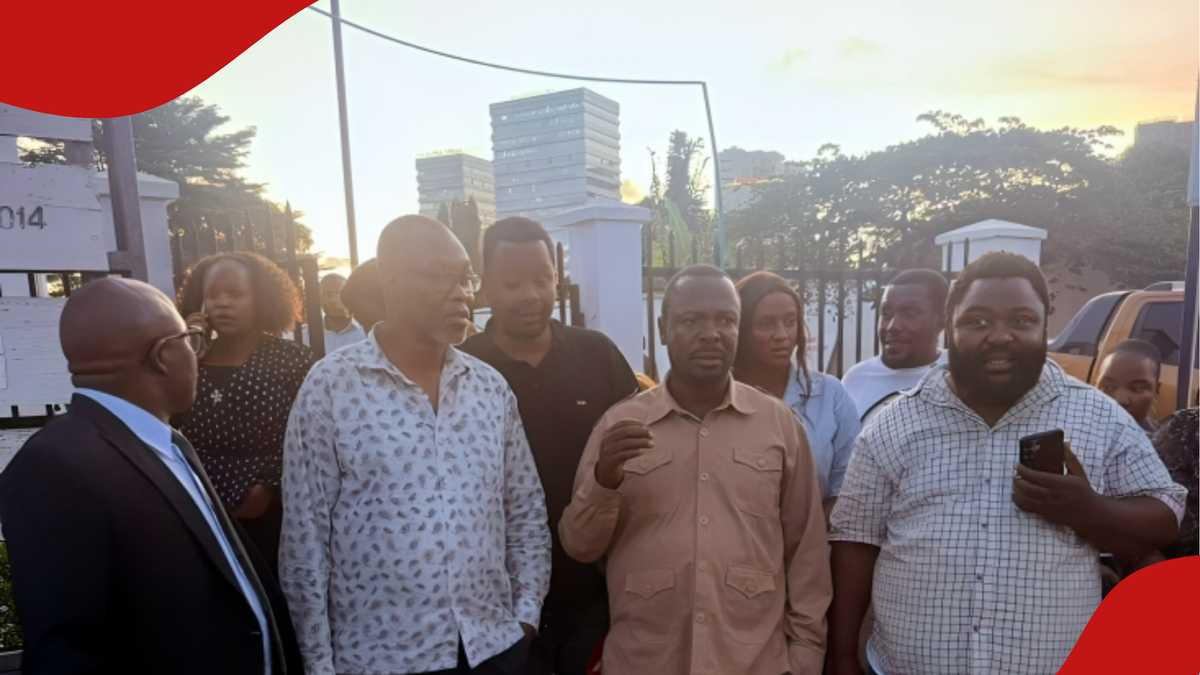 Tanzanian opposition leaders arrested over post-election chaos released ...