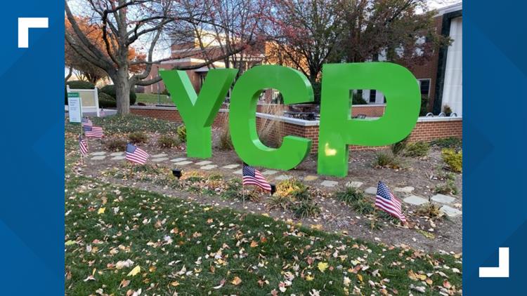 York College students plant American flags across campus to honor veterans