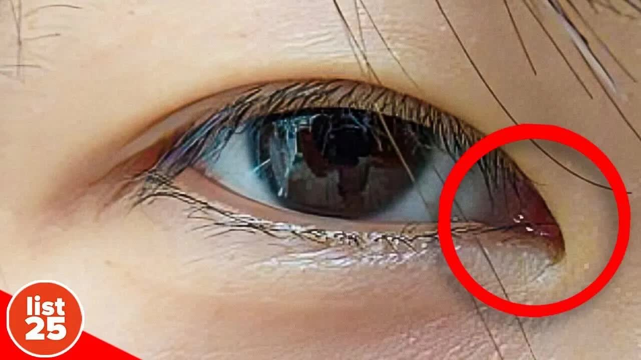 25 Fascinating Facts About Evolution of Life on Earth