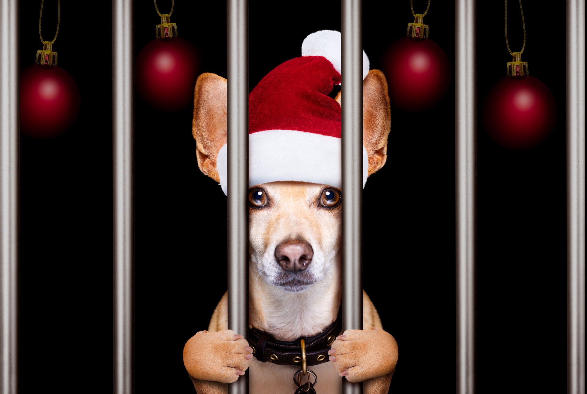 Christmas controversies that shocked the world