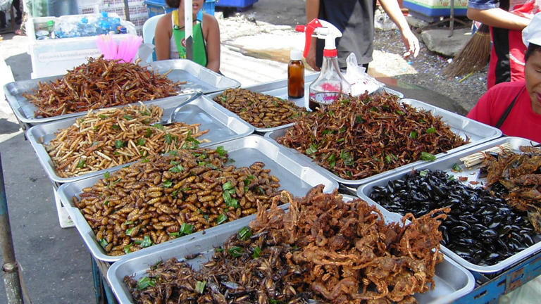 Why Some Countries Are Turning to Insect-Based Protein