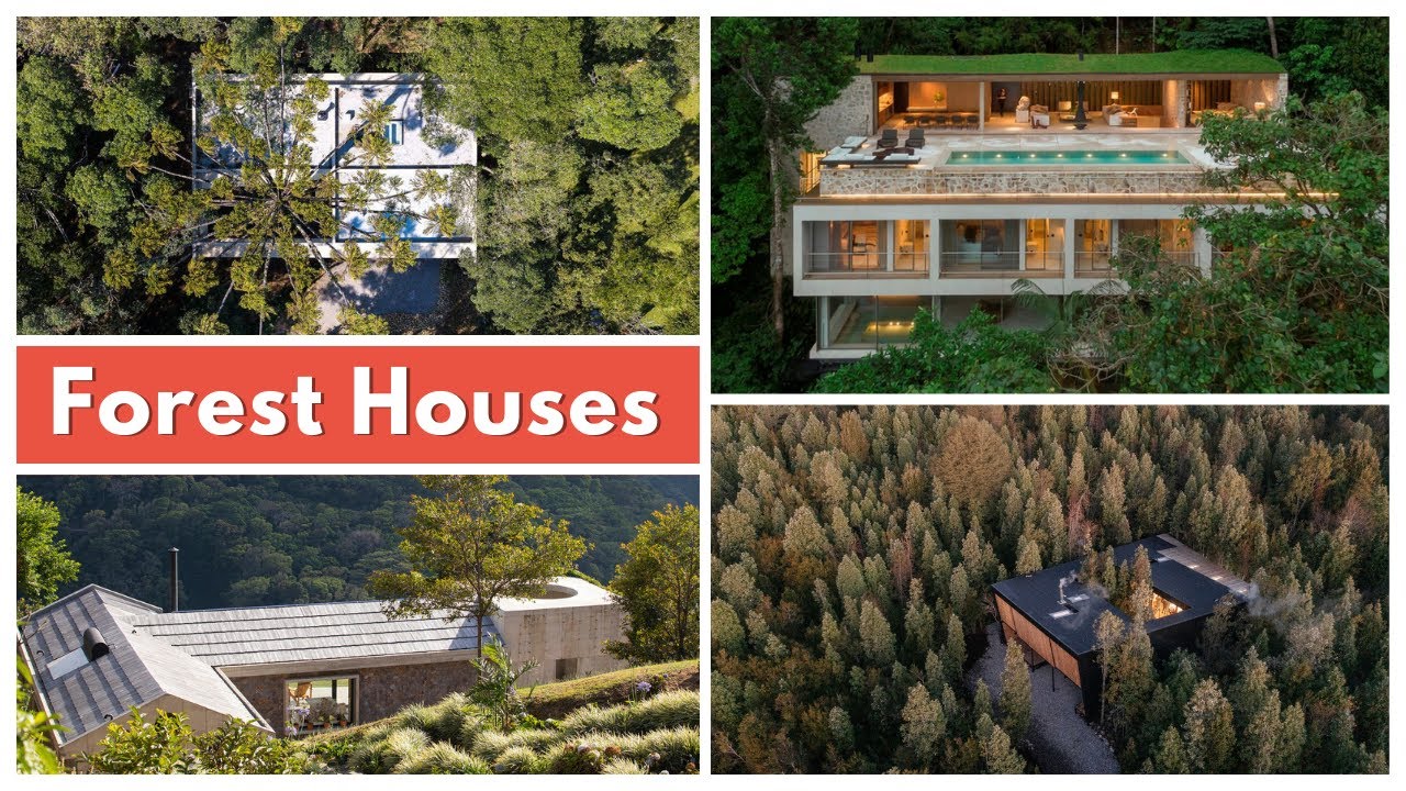 11 forest houses that blend in with nature