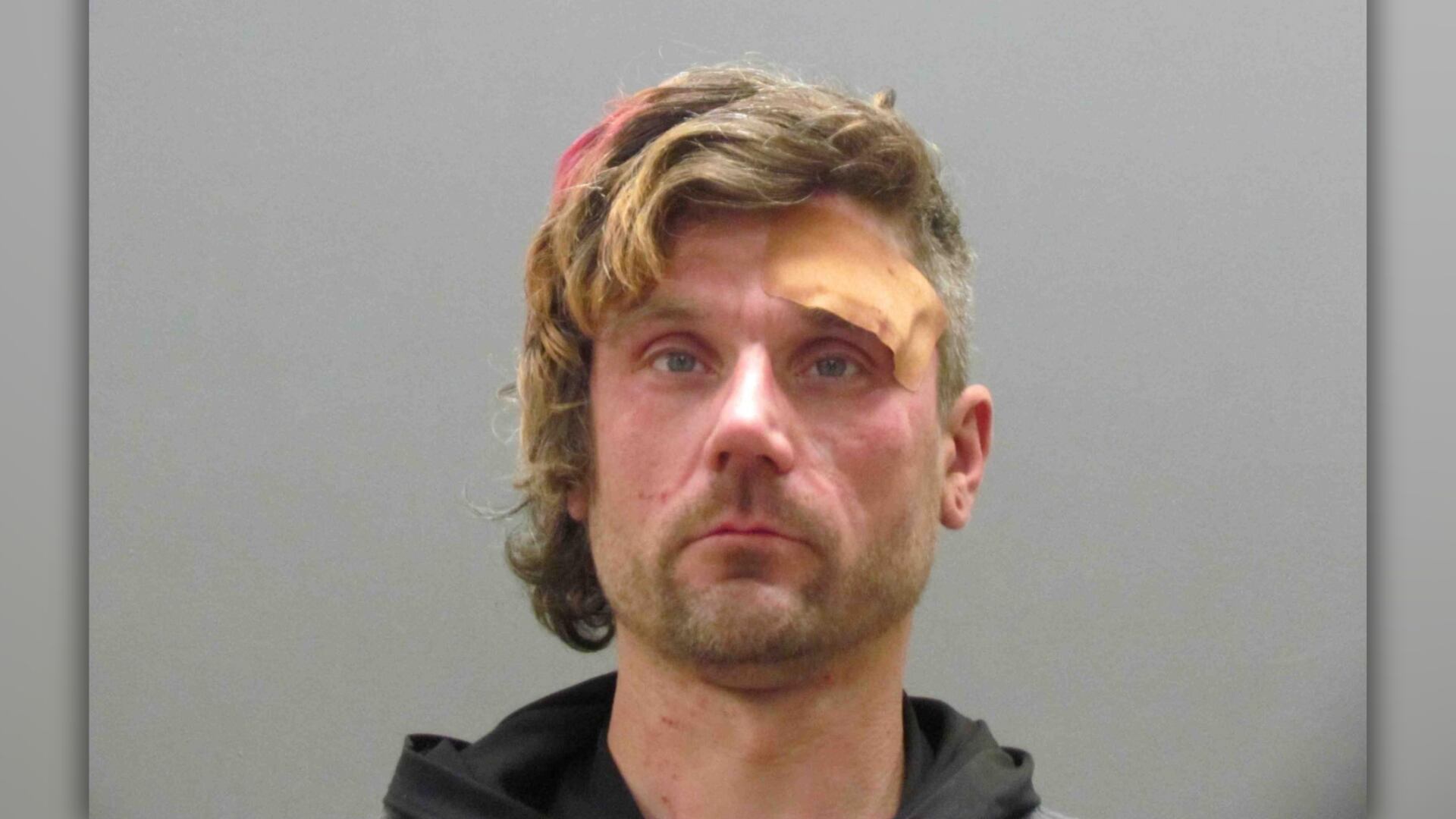 Man accused of leading deputies on a pursuit, assaulting officers in ...