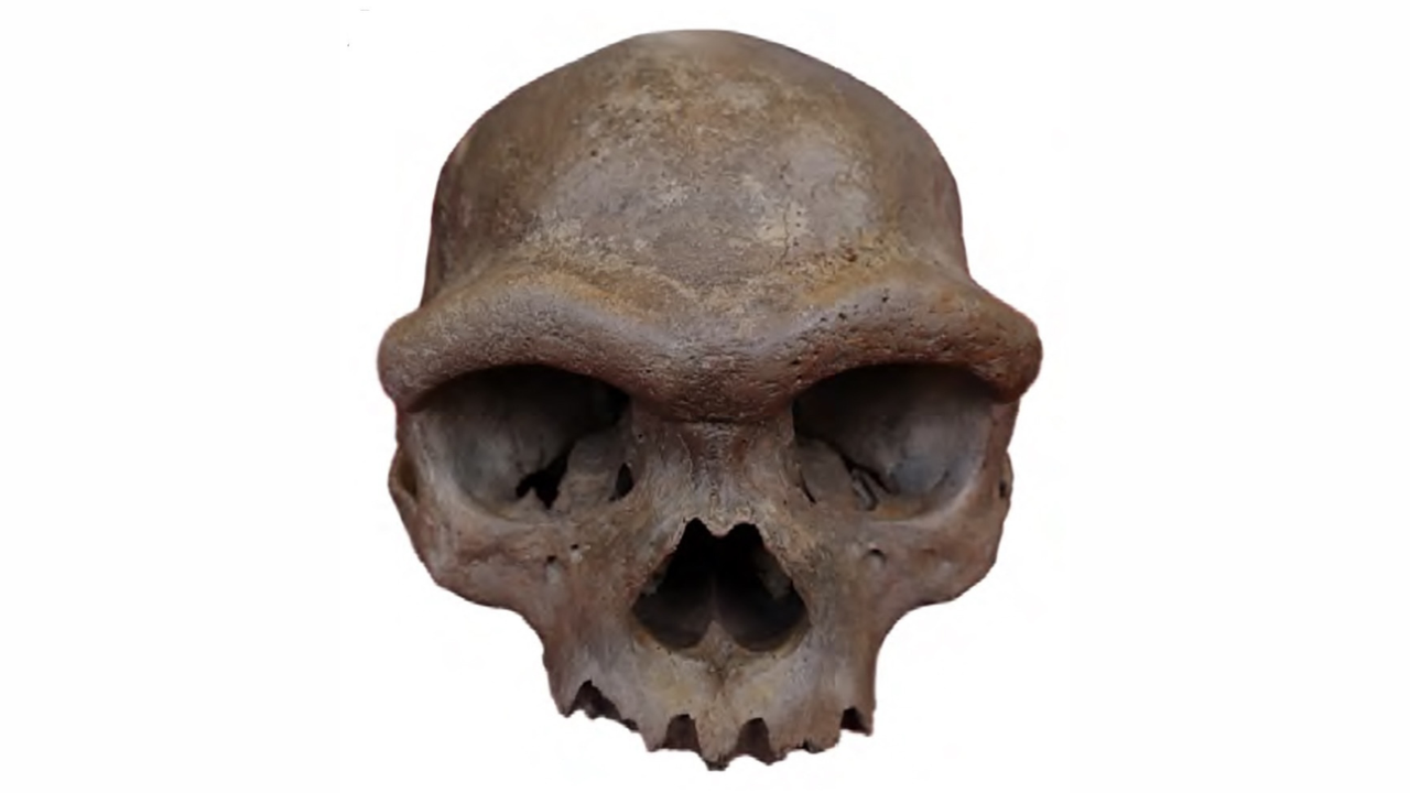 Prehistoric Jomon people in Japan had 'little to no' DNA from the ...