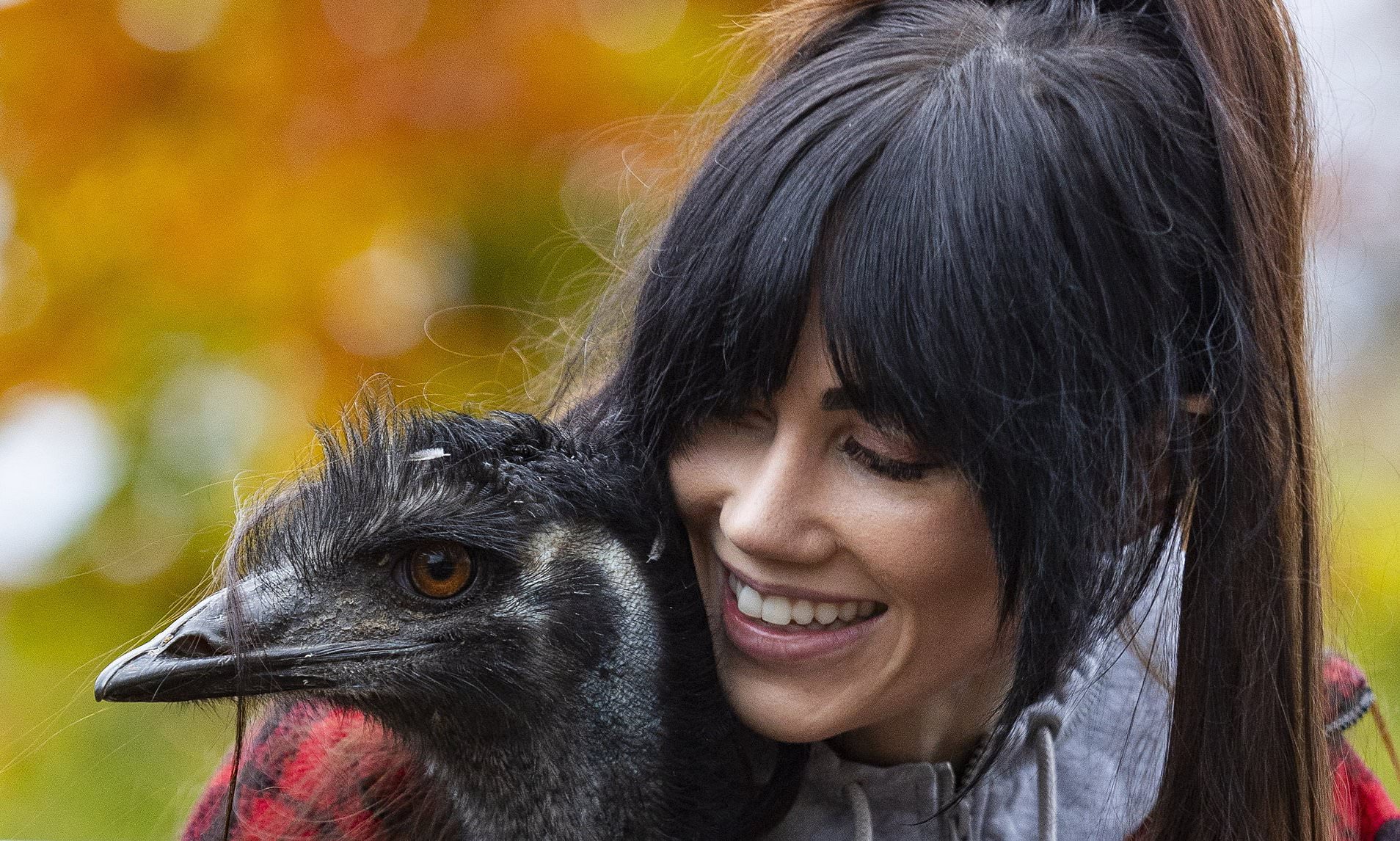 Woman buys emu egg online during late-night shopping spree... now she ...