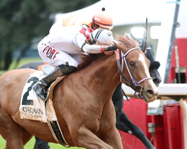 Greg Compton Stable Sets Sights On Oaklawn Park