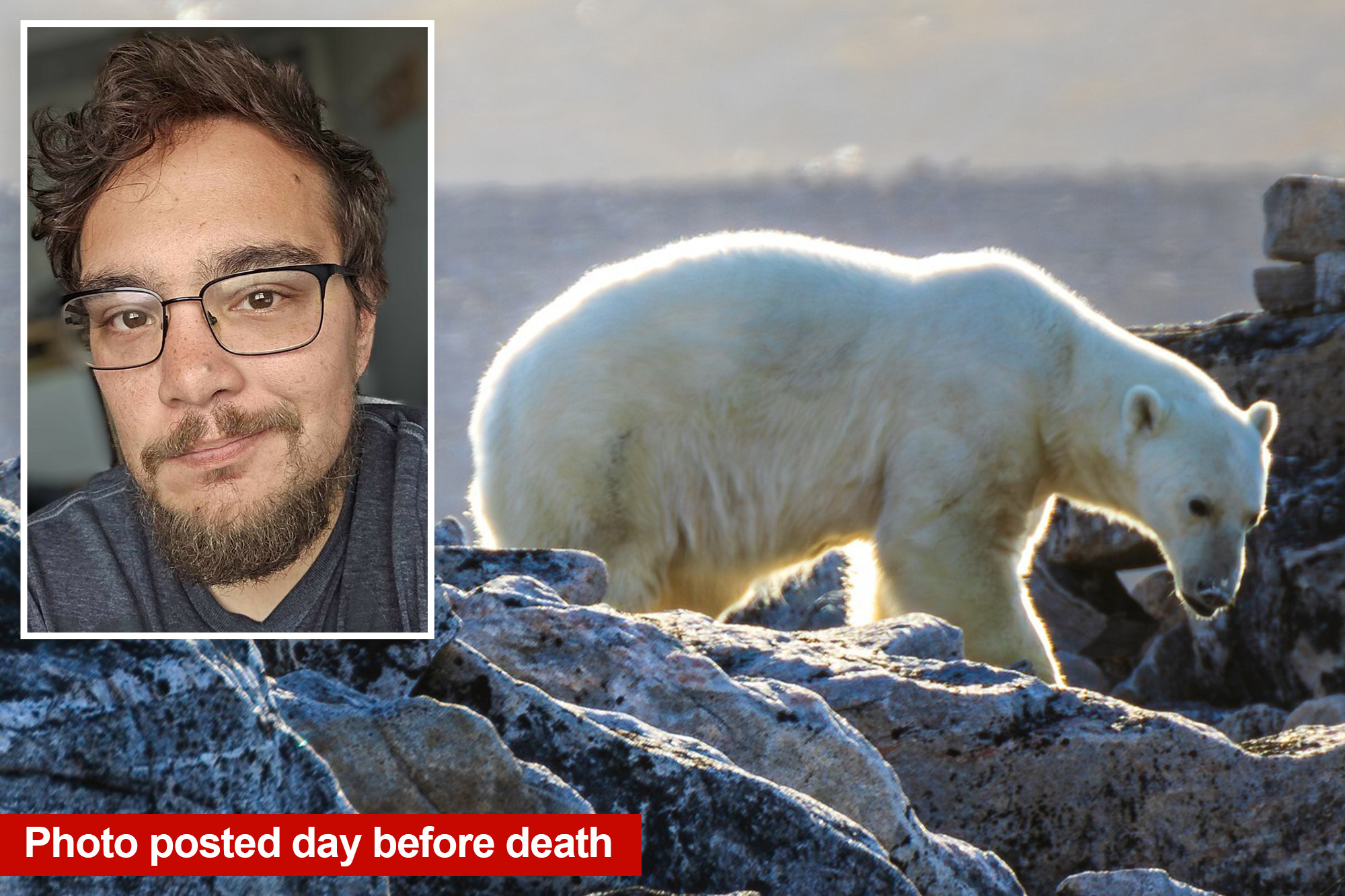Radar tech mauled to death by polar bears while photographing them at ...