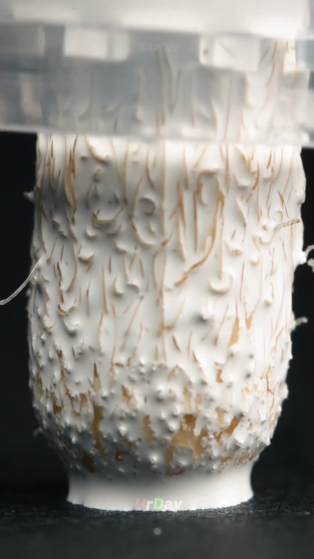 A brand new paint marker extreme close up #macro #URDAY