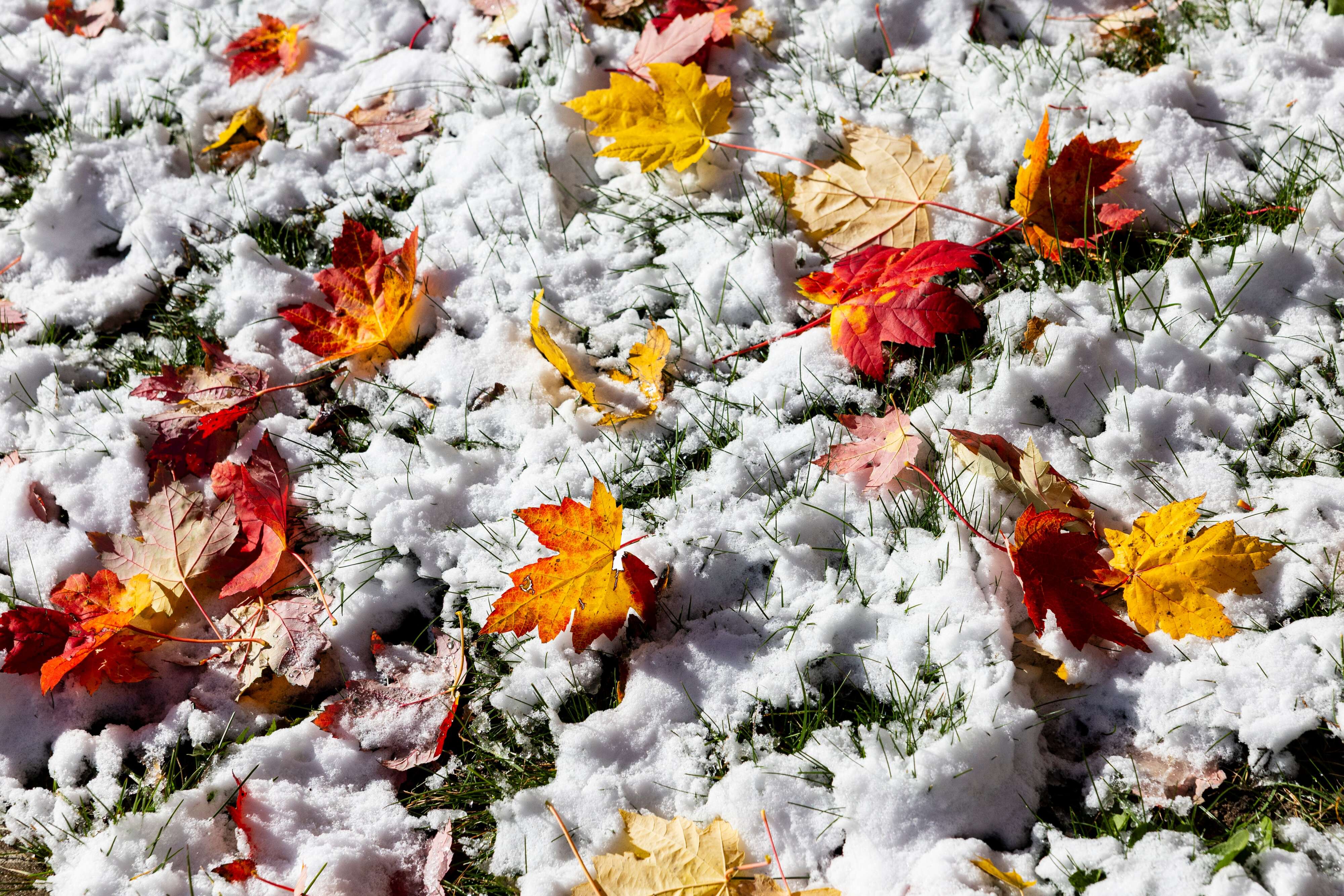 18 inches of snow was tops in Michigan, See snow totals