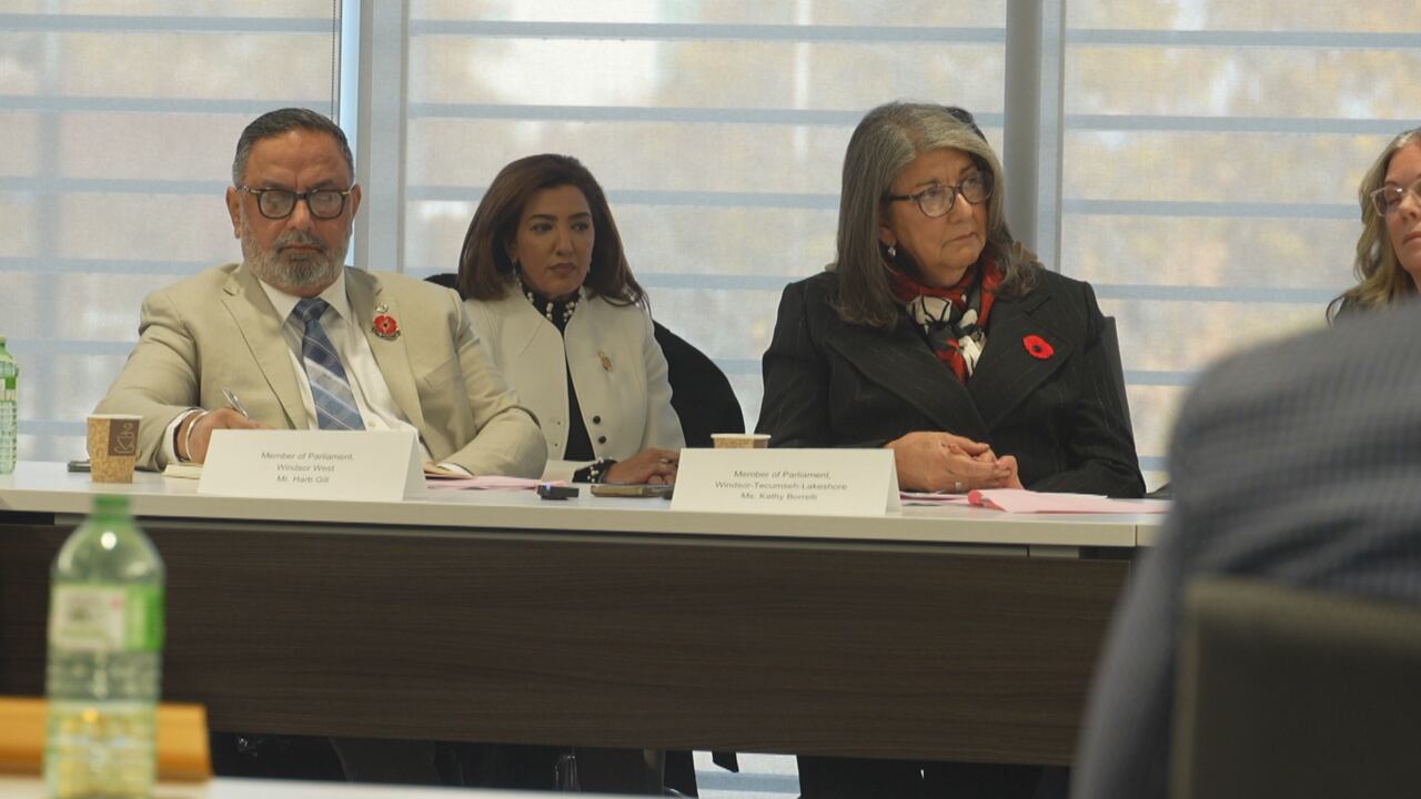 Here's what southwestern Ontario MPs are saying about the federal budget