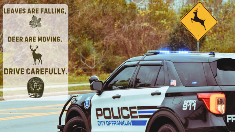 Franklin Police reports increase in deer strikes, offers tips to drivers