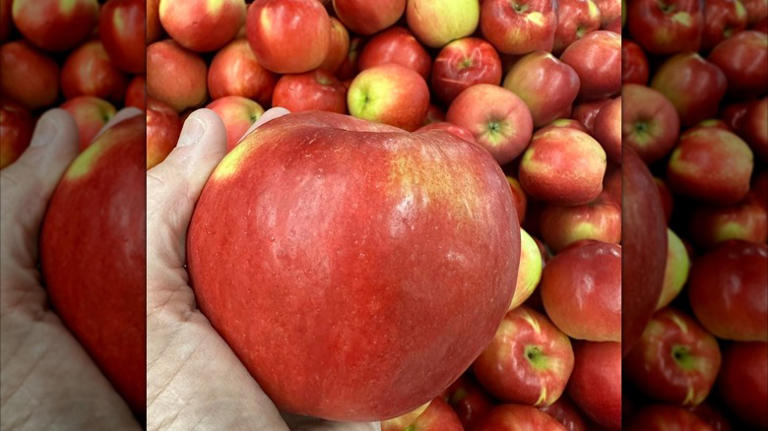 The Best And Worst Apples For Apple Pie, Ranked