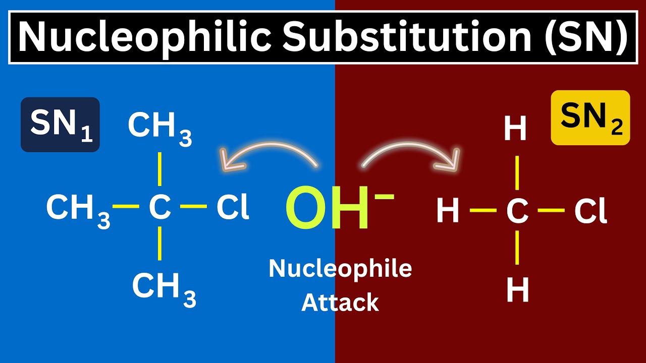Best Explanation of SN1 Reaction and SN2 Reaction